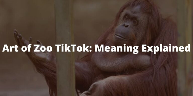 Art of Zoo TikTok: Meaning Explained - The Little Facts Art of Zoo TikTok: Meaning Explained - The Little Facts