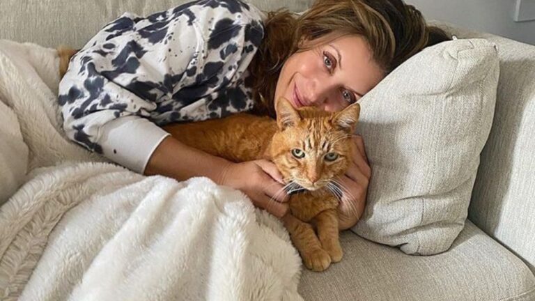 Who is Kate Walsh’s boyfriend Andrew Nixon? - The Little Facts